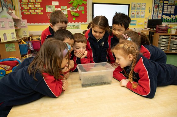 Admissions – Sutton Park School